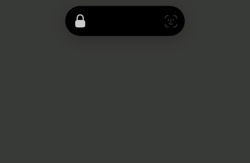 How To Turn Off Haptic On Successful Face ID Authentication - iOS Hacker How To Turn Off Haptic On Successful Face ID Authentication - iOS Hacker